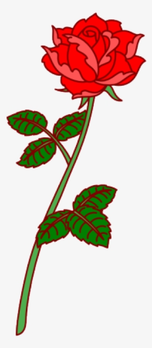 Tumblr Static - Rose Png PNG Image | Transparent PNG Free Download on ...