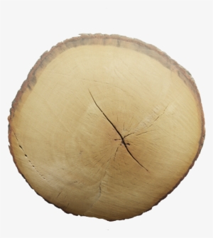 Tree End - Wood PNG Image | Transparent PNG Free Download on SeekPNG