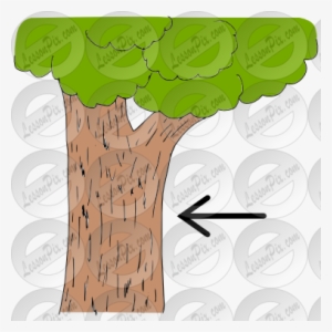 Tree Bark Pattern Clipart