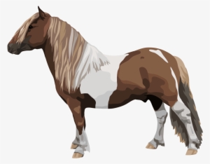 Pony Breeds Examples - Pony PNG Image | Transparent PNG Free Download ...