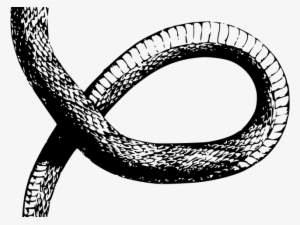 Original - Snake Drawing Transparent PNG Image | Transparent PNG Free ...