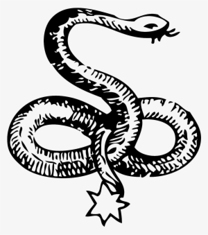 Snake - Snake Symbol PNG Image | Transparent PNG Free Download on SeekPNG