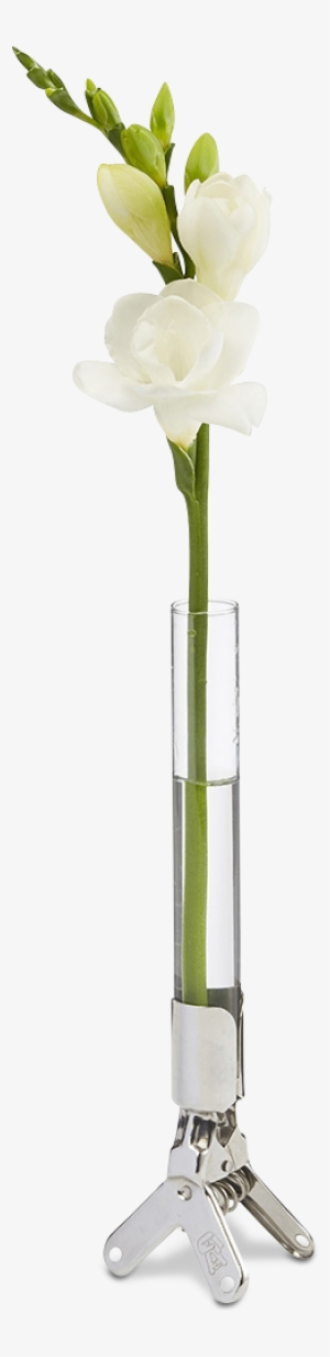 Flower Vase Png Hd - Long Flower Vase Transparent PNG Image ...