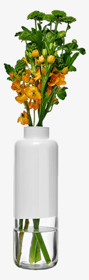 Explore - Design PNG Image | Transparent PNG Free Download on SeekPNG