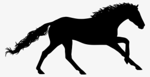 Horse, Gallop, Stallion, Equestrian - Horse PNG Image | Transparent PNG ...