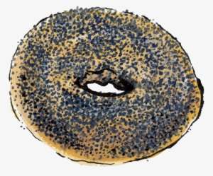 Grand Poppy - Circle PNG Image | Transparent PNG Free Download on SeekPNG