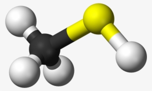 Methanethiol Molecule Model - Methyl Mercaptan PNG Image | Transparent ...