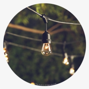 Hoi P'loy String Light - Gumtree PNG Image | Transparent PNG Free ...