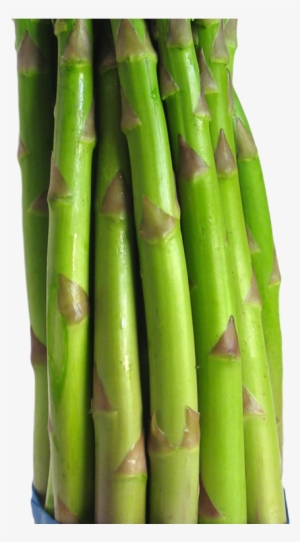 Asparagus PNG Image | Transparent PNG Free Download on SeekPNG