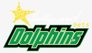 Sunfoil Dolphins PNG Image | Transparent PNG Free Download on SeekPNG