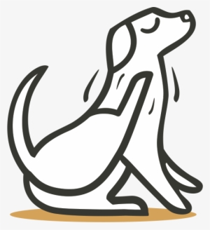 Ditch The Itch - Dog PNG Image | Transparent PNG Free Download on SeekPNG