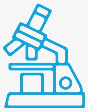 Supporting The Evolution Of The Ever-changing Life - Line PNG Image ...