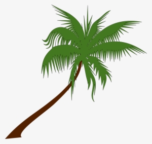 Free Vector Graphic - Gambar Pohon Kelapa Png PNG Image | Transparent ...