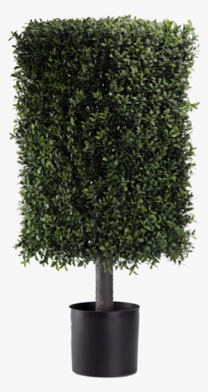 Topiary Topiary PNG Image | Transparent PNG Free Download on SeekPNG