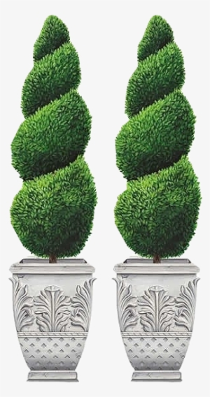 Floral Drawing, Topiary Trees, Topiaries, Art Furniture, PNG Image ...
