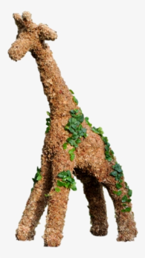 Large Giraffe Topiary - Topiary PNG Image | Transparent PNG Free ...