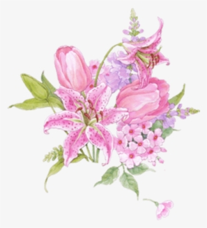 Orchids Drawing Transparent Png - Пнг Цветов PNG Image | Transparent ...