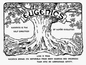 Laughlin, The Second International Exhibition Of Eugenics - Eugenics ...