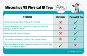 The Information On The Microchip Is Not Up To Date - Pet Microchip Info ...
