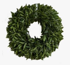Laurel Wreath PNG Image | Transparent PNG Free Download on SeekPNG