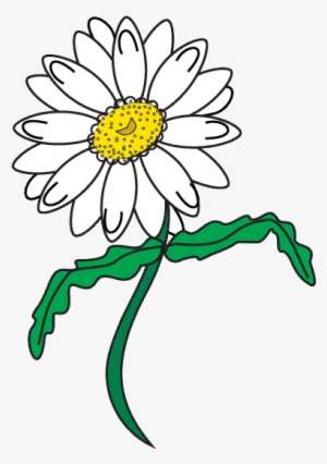Daisy Crown Drawing - Quotes About Flower Crown PNG Image | Transparent ...