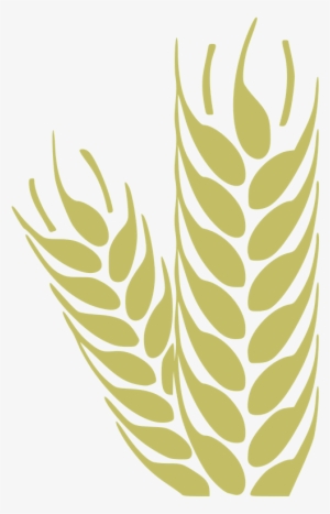 Simple Wheat Clipart PNG Image | Transparent PNG Free Download on SeekPNG