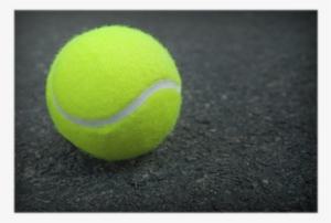 Paddle Tennis PNG Image | Transparent PNG Free Download on SeekPNG