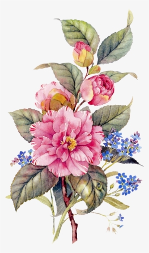 Botanical Flowers PNG Image | Transparent PNG Free Download on SeekPNG