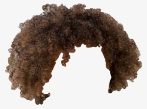 Black Afro Hair Png Transparent - Women Afro Hair Png PNG Image ...