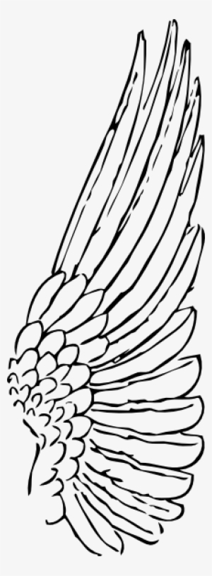 Free Vector Wing Clip Art - Bird Wing Line Drawing PNG Image ...
