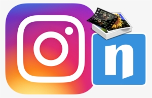 Instagram Verification PNG Image | Transparent PNG Free Download on SeekPNG