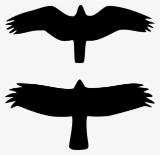 Raptor Vector Black And White - Bird Flying Top View Png PNG Image ...