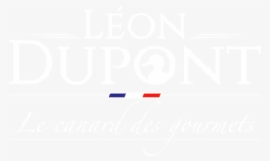 Documentary Film PNG Image | Transparent PNG Free Download on SeekPNG