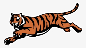 Cinncinati Bengals Logo Png Transparent - Cincinnati Bengals Logo PNG ...