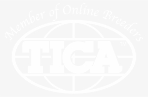 Tica Logo - Name Logo Empty Background PNG Image | Transparent PNG Free ...