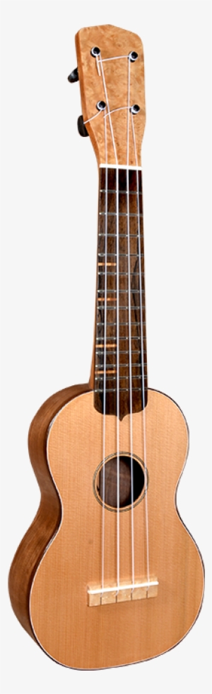 Royal Elm Burl 01 Revised Outline Web - Ukulele PNG Image | Transparent ...