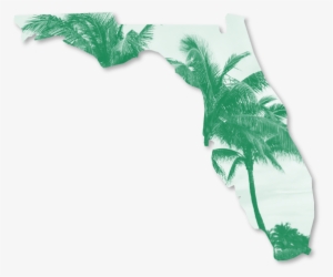 Florida Outline Transparent Green - Florida PNG Image | Transparent PNG ...