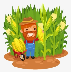 Maize Farmer Field Clip - Corn Field Cartoon PNG Image | Transparent ...