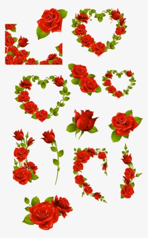 Dozen Roses Clipart - Garden Roses PNG Image | Transparent PNG Free ...
