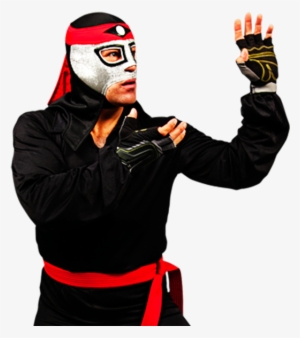 Octagon PNG Images | PNG Cliparts Free Download on SeekPNG