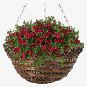 Transparent Hanging Basket Png PNG Image | Transparent PNG Free ...