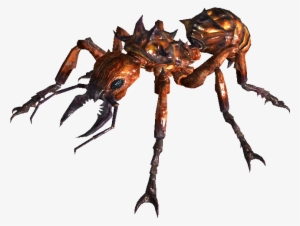 Giant Fire Ant - Fallout Ant PNG Image | Transparent PNG Free Download ...
