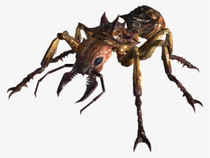 Giant Soldier Ant - Fallout 4 Giant Ants PNG Image | Transparent PNG ...