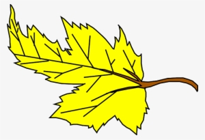 Fall, Yellow, Leaf, Cartoon, Plant, Falling, Leaves - Yellow Leaf ...