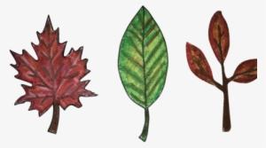 Autumn Leaf Color Clip Art - Fall Clipart PNG Image | Transparent PNG ...