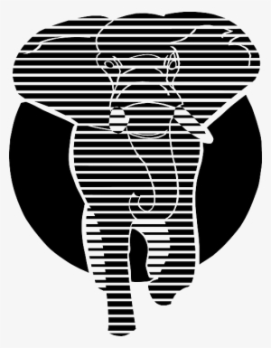 Animals, Head, Outline, Symbol, Mammals, Elephant - White And Black ...