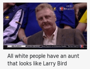 Nba, White People, And Birds - Best White People Memes PNG Image ...