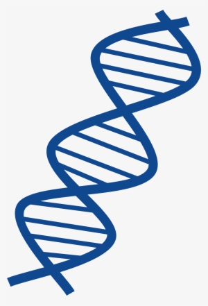 Image Result For Dna Art Blue - Dna Clipart Png PNG Image | Transparent ...