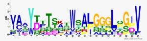 Imagemagick-logo - Imagemagick Logo PNG Image | Transparent PNG Free ...