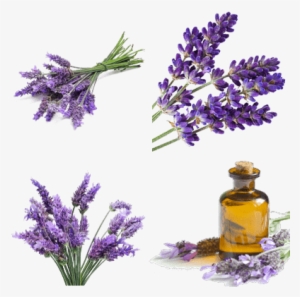 Turn Up Color Treatment April Skin Ingredients PNG Image | Transparent ...